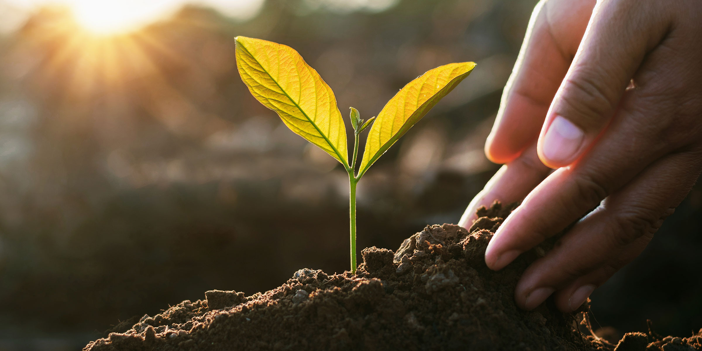 sol_sustainable - Solair